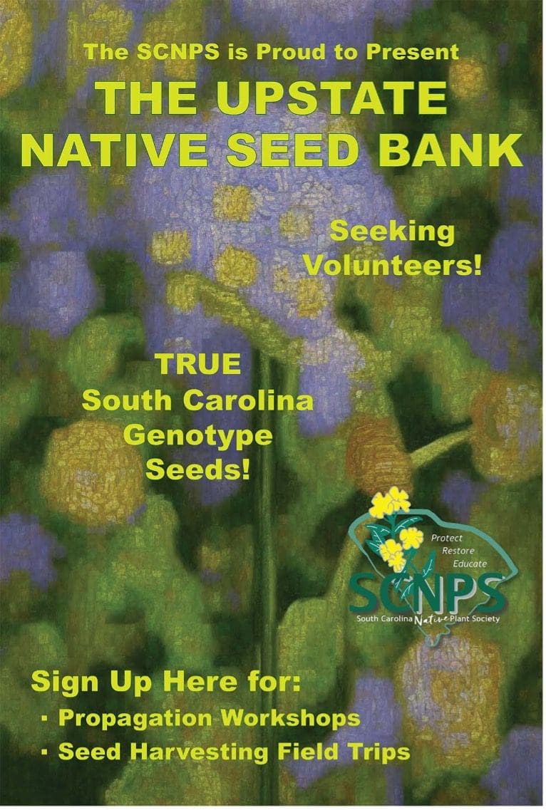Upstate Seed Bank Program Update | South Carolina Native Plant Society