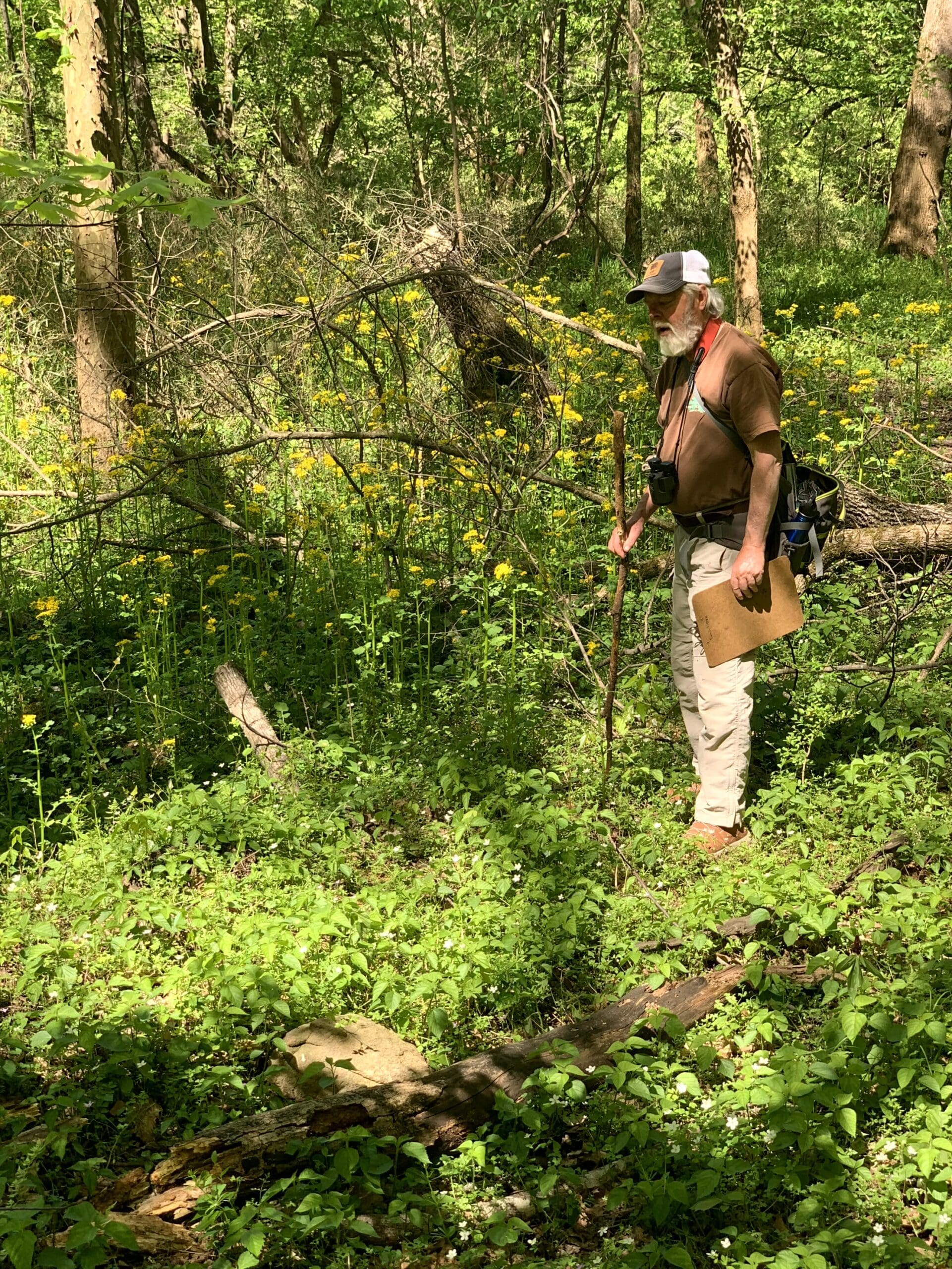 Midlands Field Trip To Stevens Creek Heritage Preserve | South Carolina ...