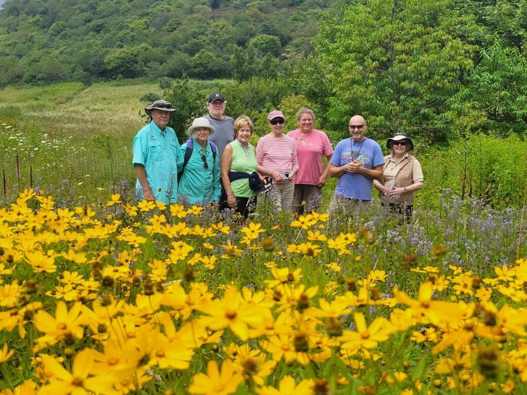 Upstate Members Revel In Mid-August Blue Ridge Parkway Flora | South ...