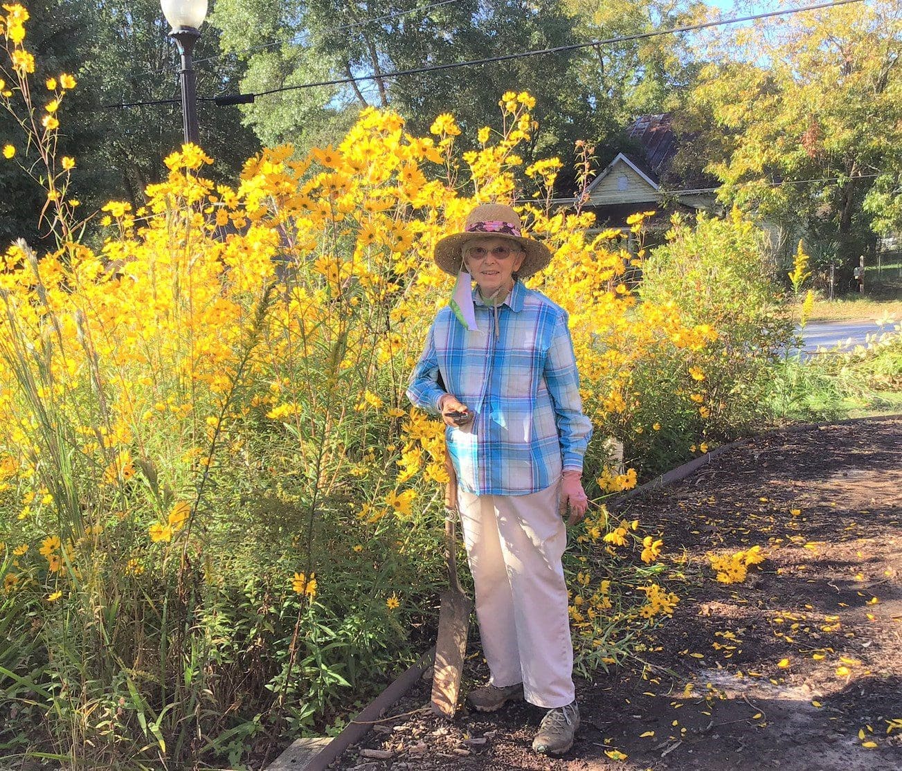 Volunteer Spotlight Focus On: Judy Seeley | South Carolina Native Plant ...