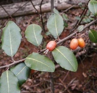 Home Invasion - The War That Begins In Your Yard | South Carolina ...